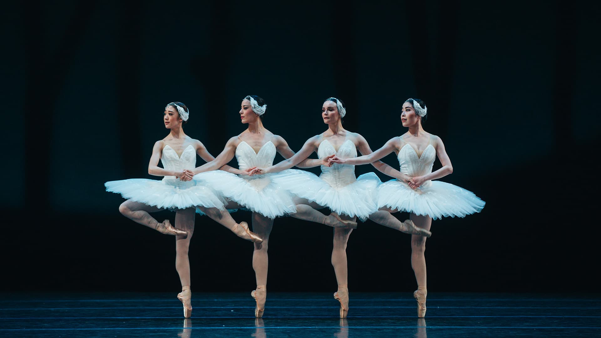 Swan Lake | The Australian Ballet - Australian Stage Online